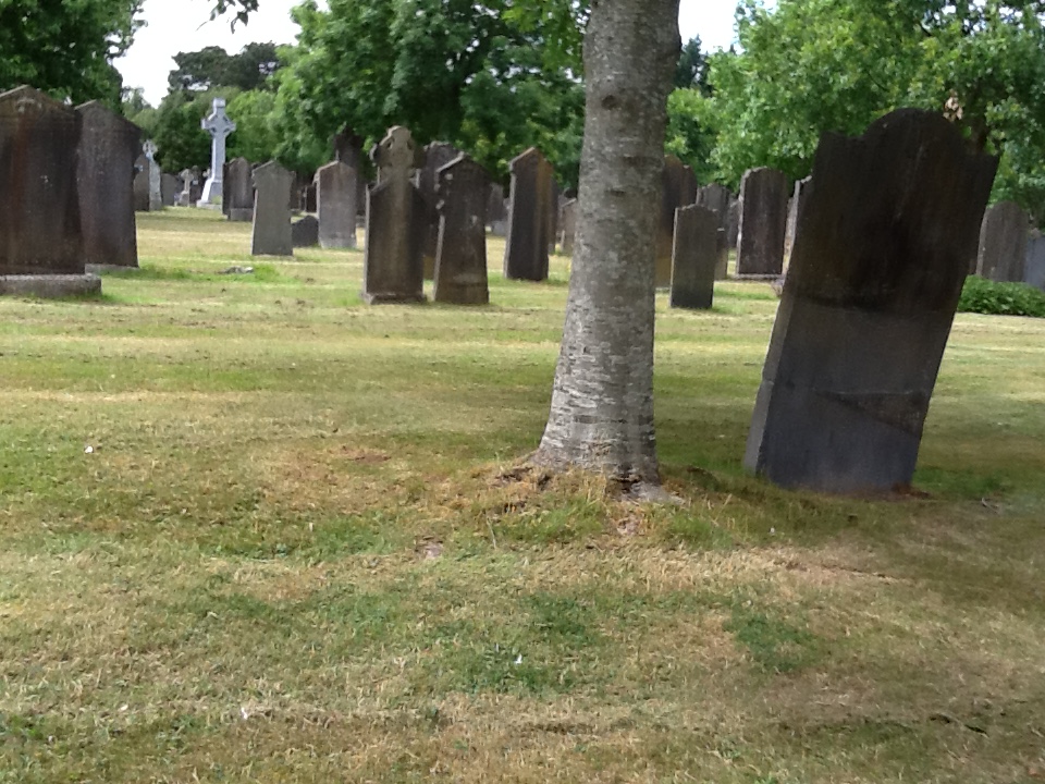 Prendergast Family-The Quest continues. – Families of Ireland